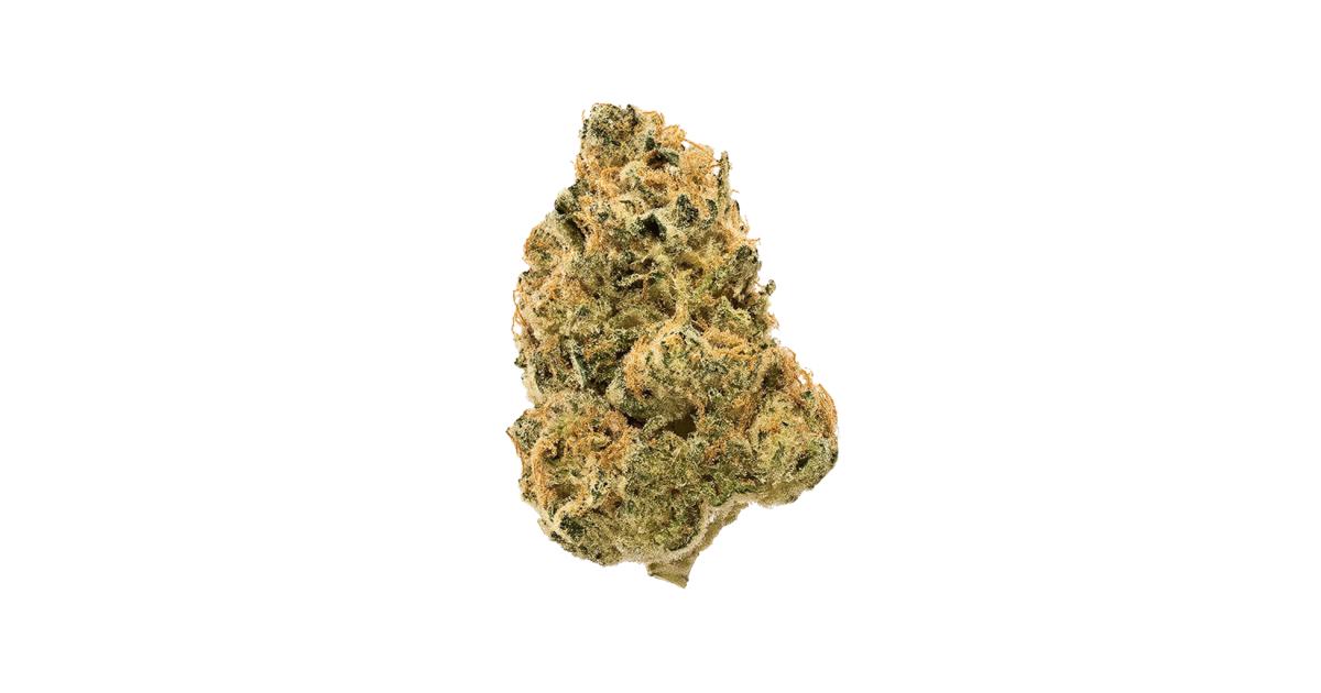 Anubis x Sunset Sherbet Cannabis Strain Information - GrowDiaries
