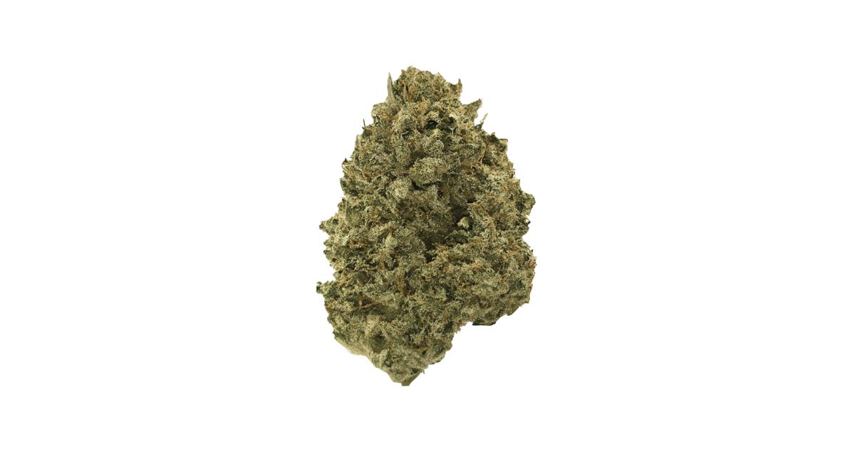 Wembley Fast Cannabis Strain Information - GrowDiaries