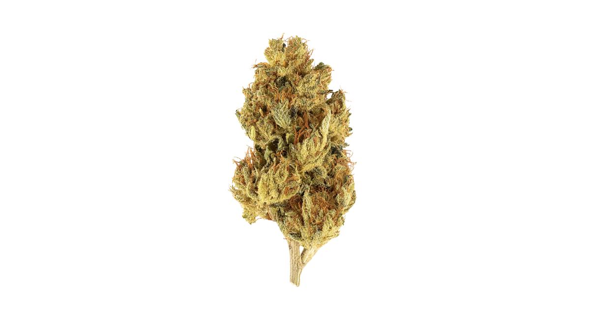Gucci Links Strain Info