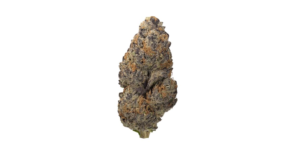 ZodaZa Cannabis Strain Products - GrowDiaries