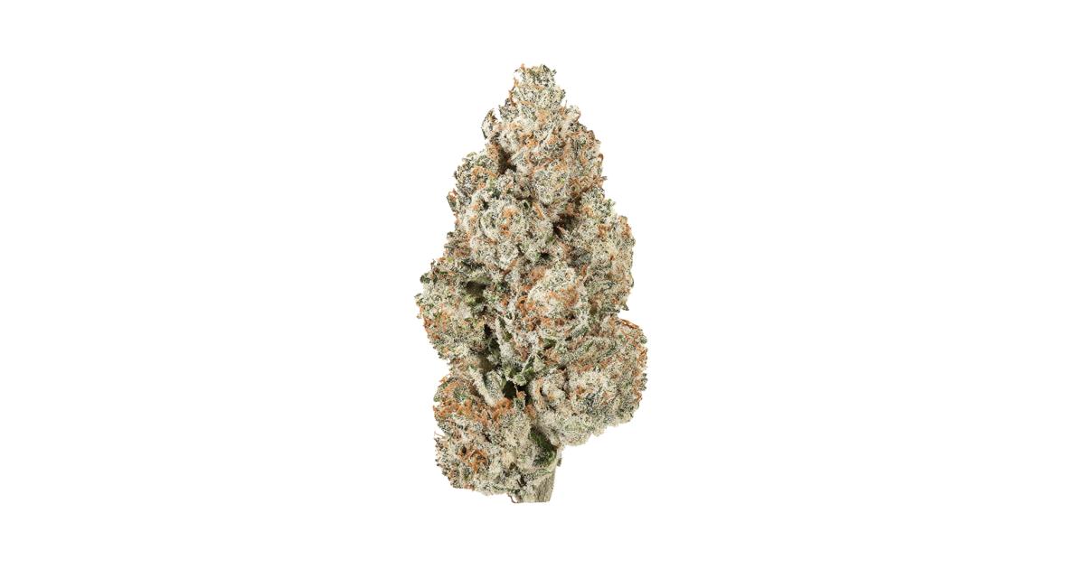 Holy Snow Cannabis Strain Information - GrowDiaries