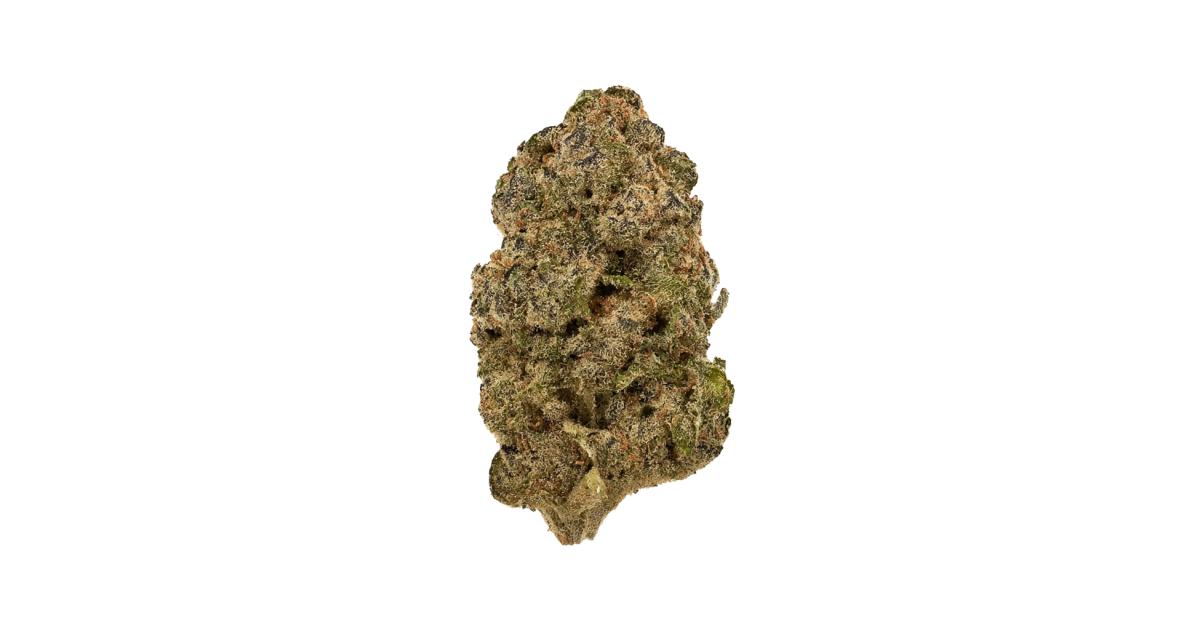 Gorilla Piña Cannabis Strain Information - GrowDiaries