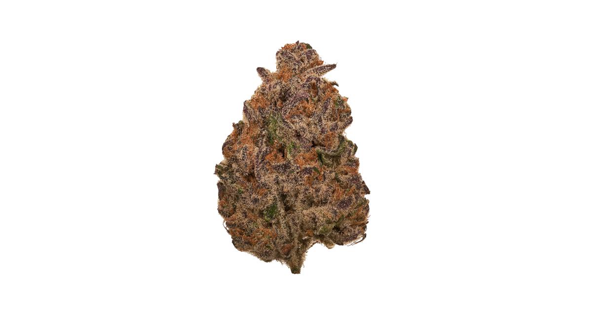 Purple Mango Kush Cannabis Strain Information - GrowDiaries