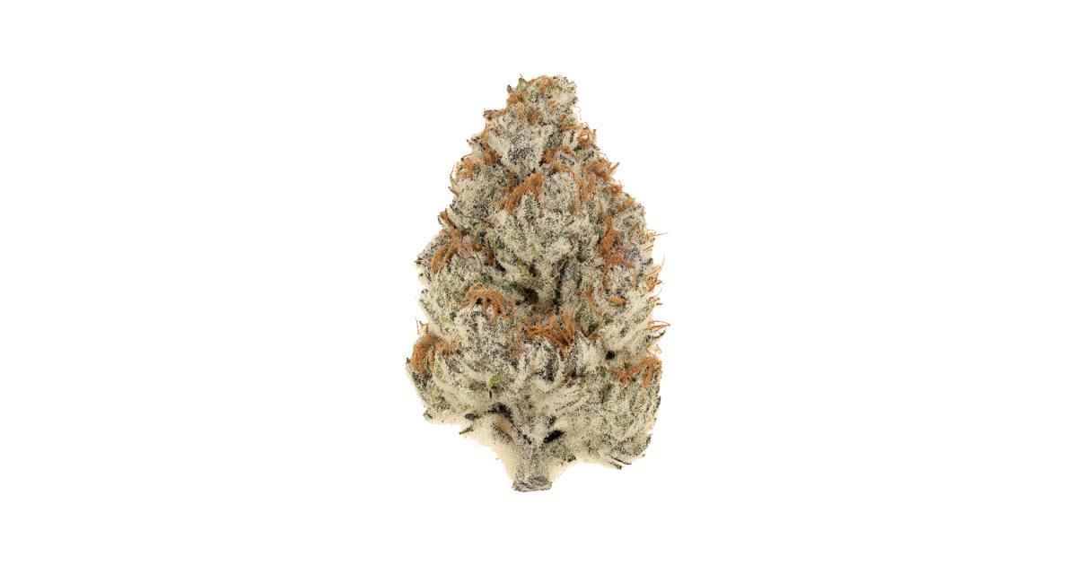Bay Burger Cannabis Strain Information - GrowDiaries