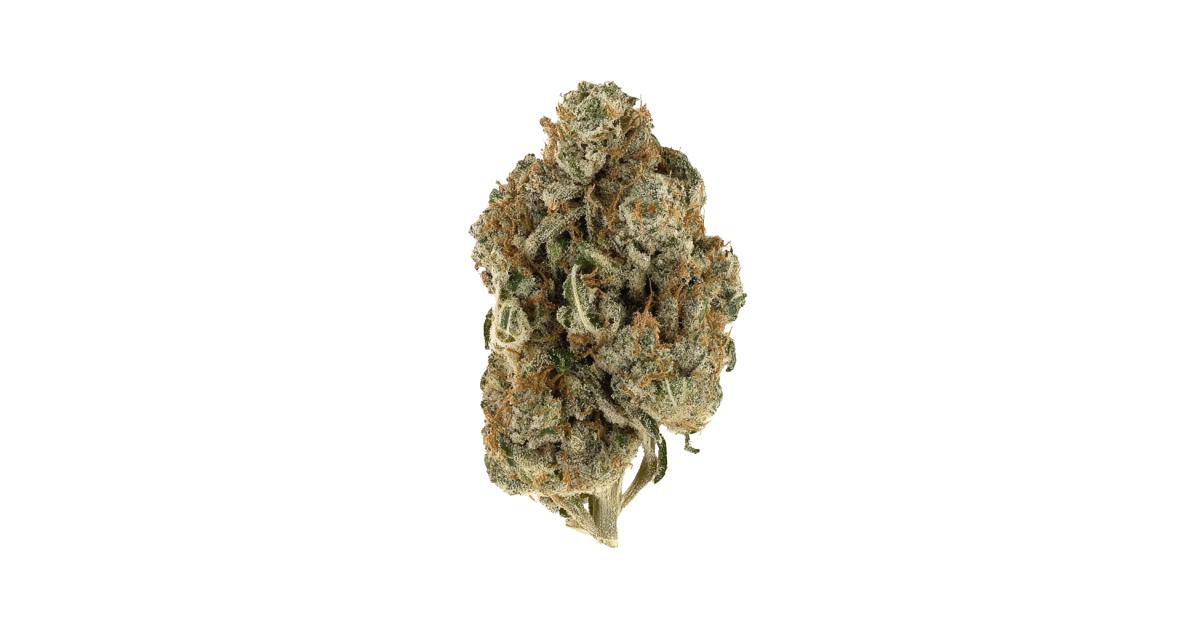 Creamy Beast Turbo Cannabis Strain Information - GrowDiaries