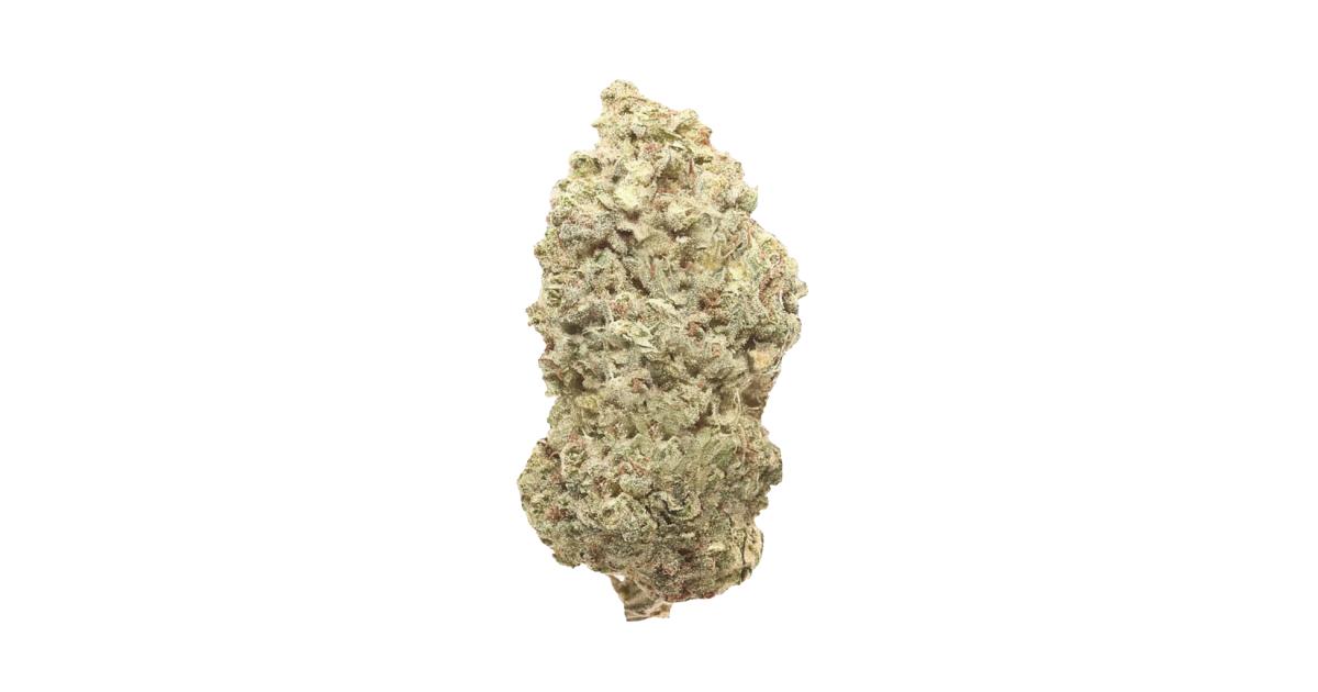Maple Dunks Cannabis Strain Information - GrowDiaries