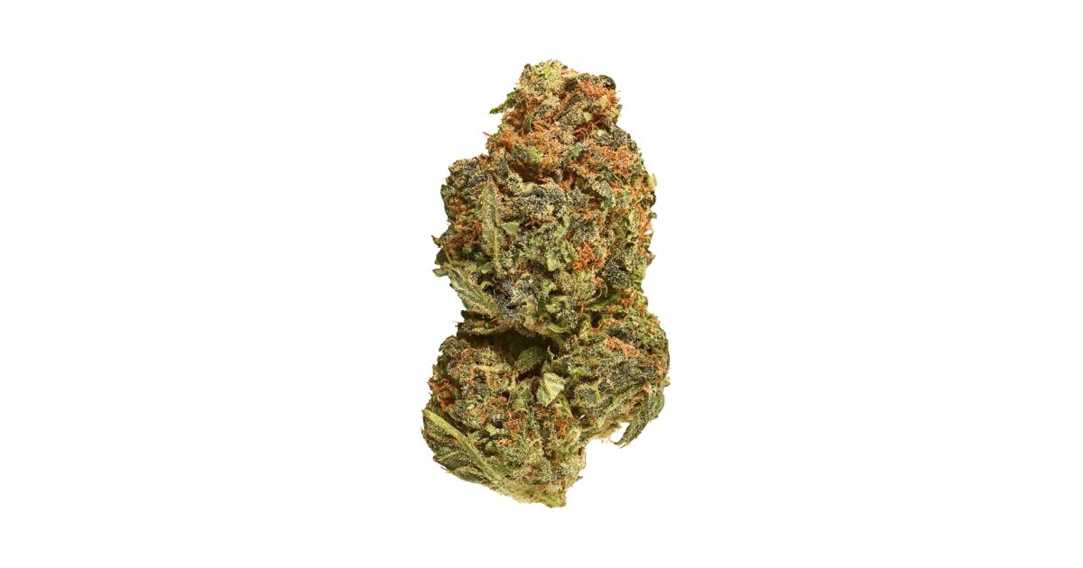 Colada Lime Cannabis Strain Information - GrowDiaries