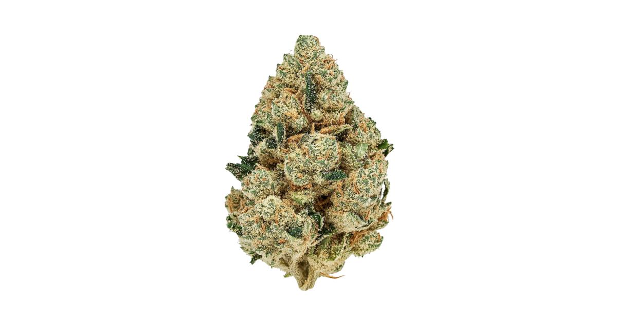 GMO Rootbeer Cannabis Strain Information - GrowDiaries