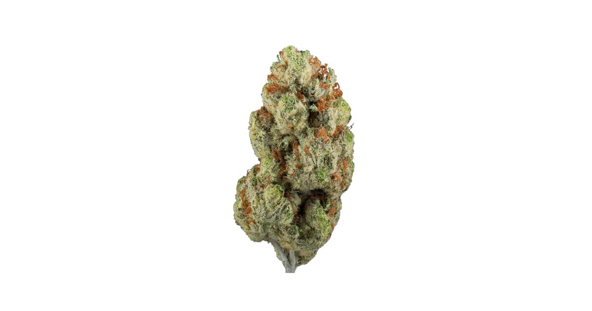 Side Piece Cannabis Strain Information - GrowDiaries