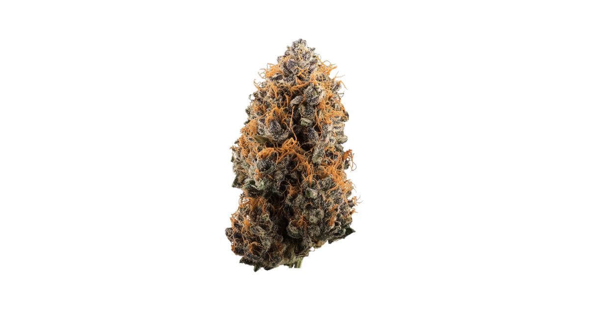 Gorilla Apple Candy Cannabis Strain Information - GrowDiaries