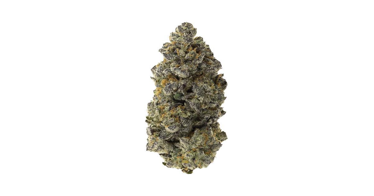 Super Sour Runtz Cannabis Strain Information - GrowDiaries