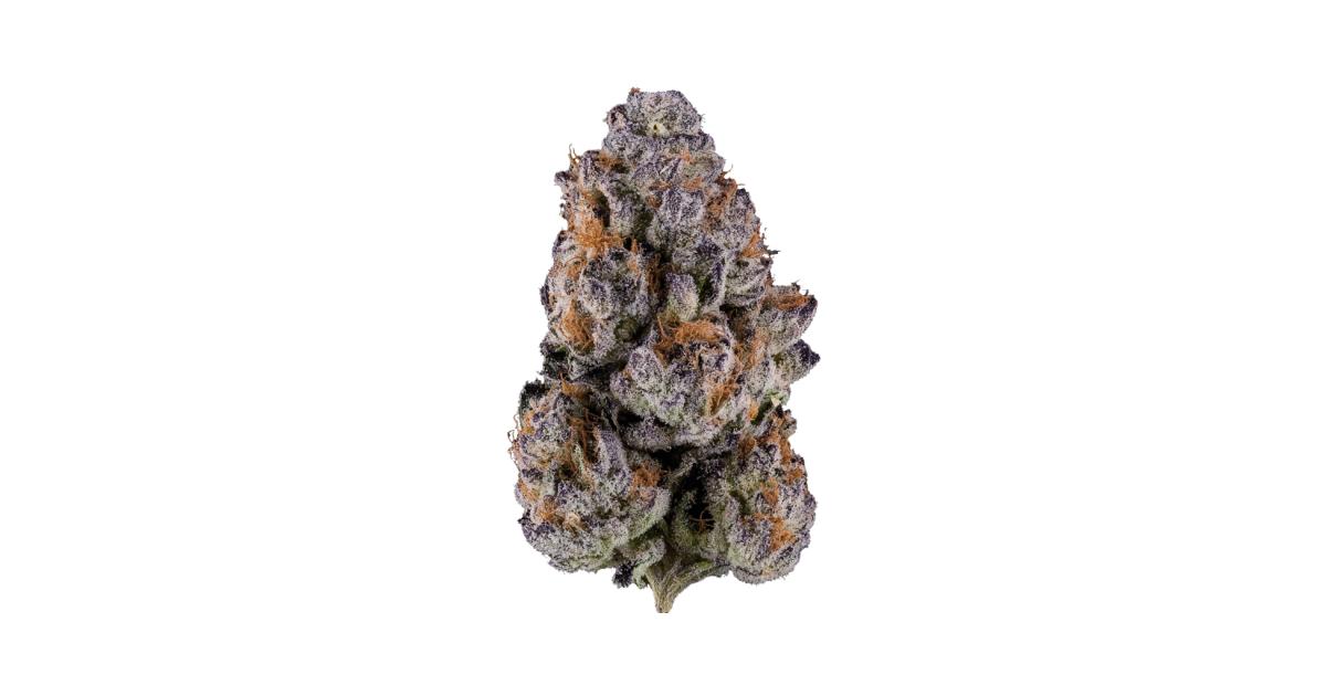 Blueberry Swirl Cannabis Strain Information - GrowDiaries