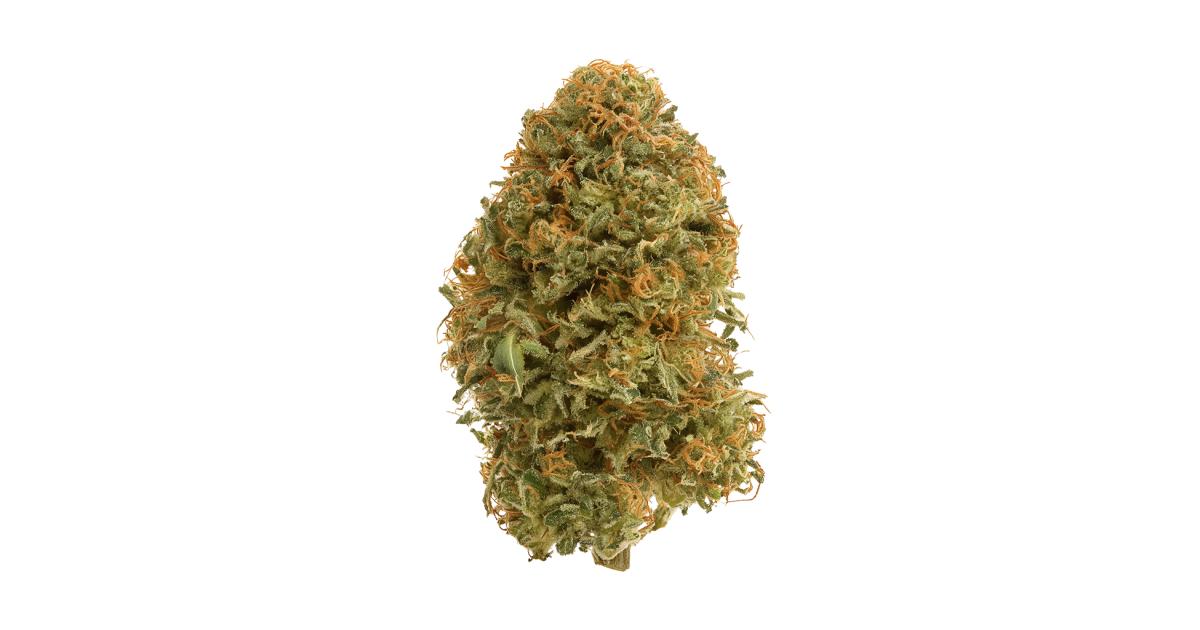 Tiffany Cannabis Strain Information - GrowDiaries