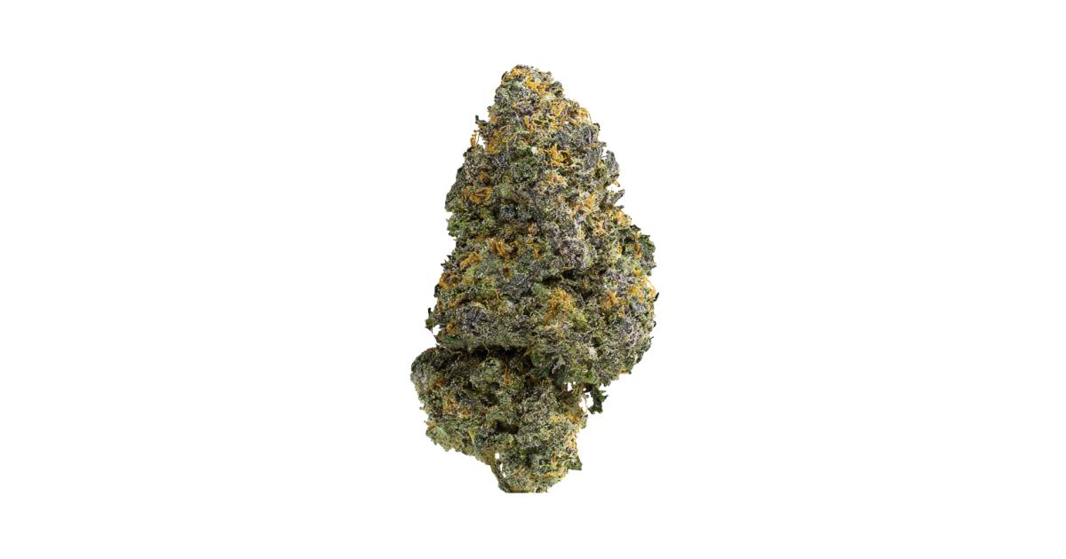 Platinum Bird Cannabis Strain Information - GrowDiaries
