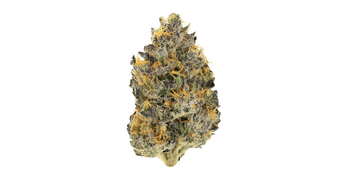 Lemon Cherry Pie Cannabis Strain Information - GrowDiaries