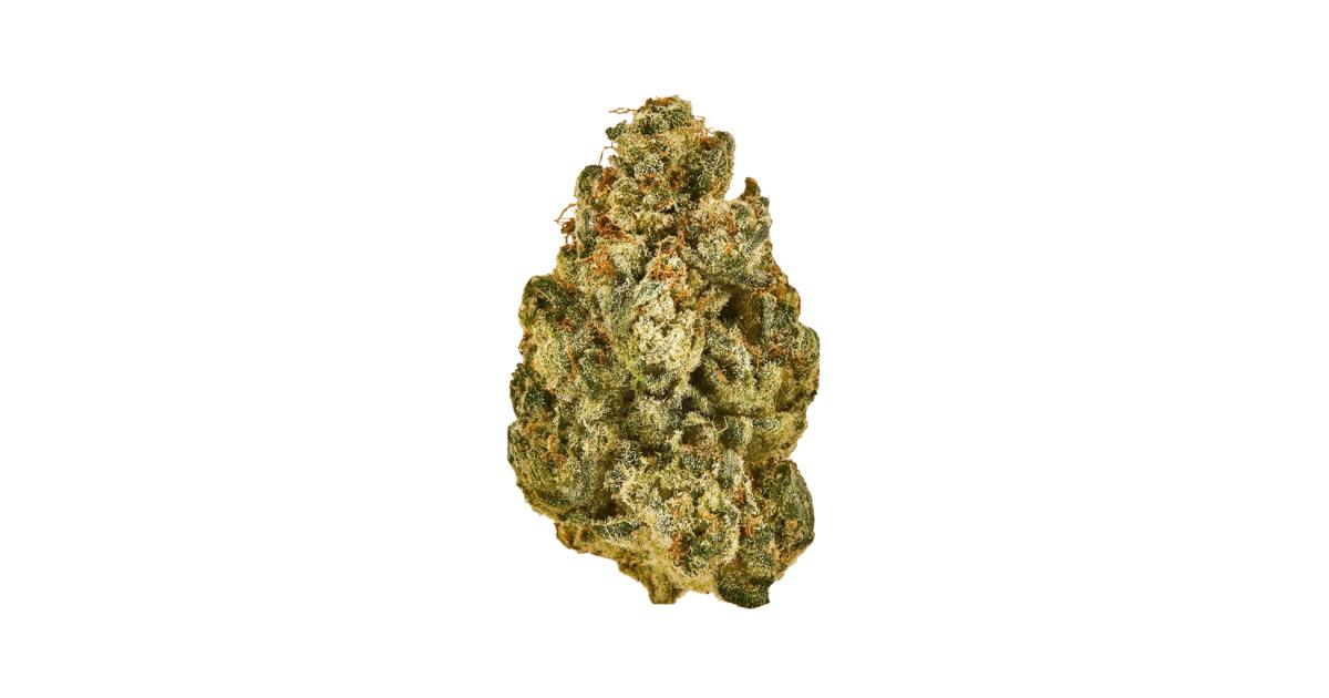 Lemon Banana Pie Cannabis Strain Information - GrowDiaries
