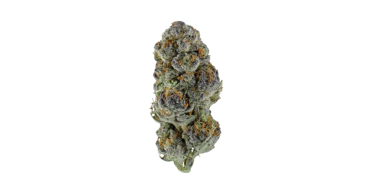 YellowBurst Cannabis Strain Information - GrowDiaries