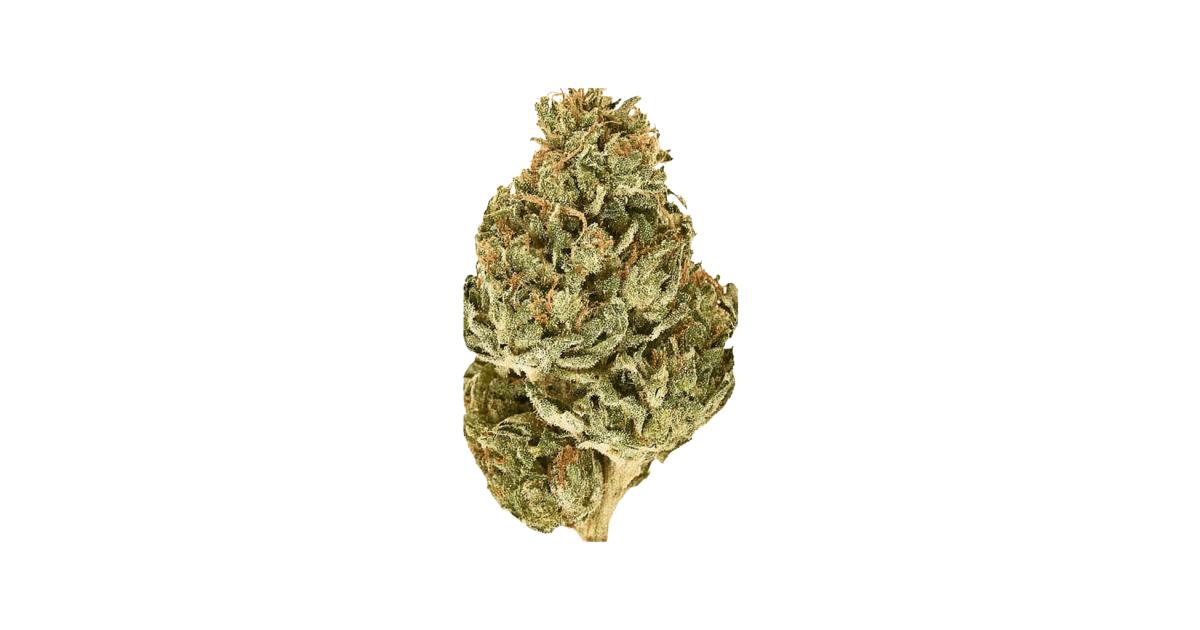 Alaskan Crab Legs Cannabis Strain Information - GrowDiaries