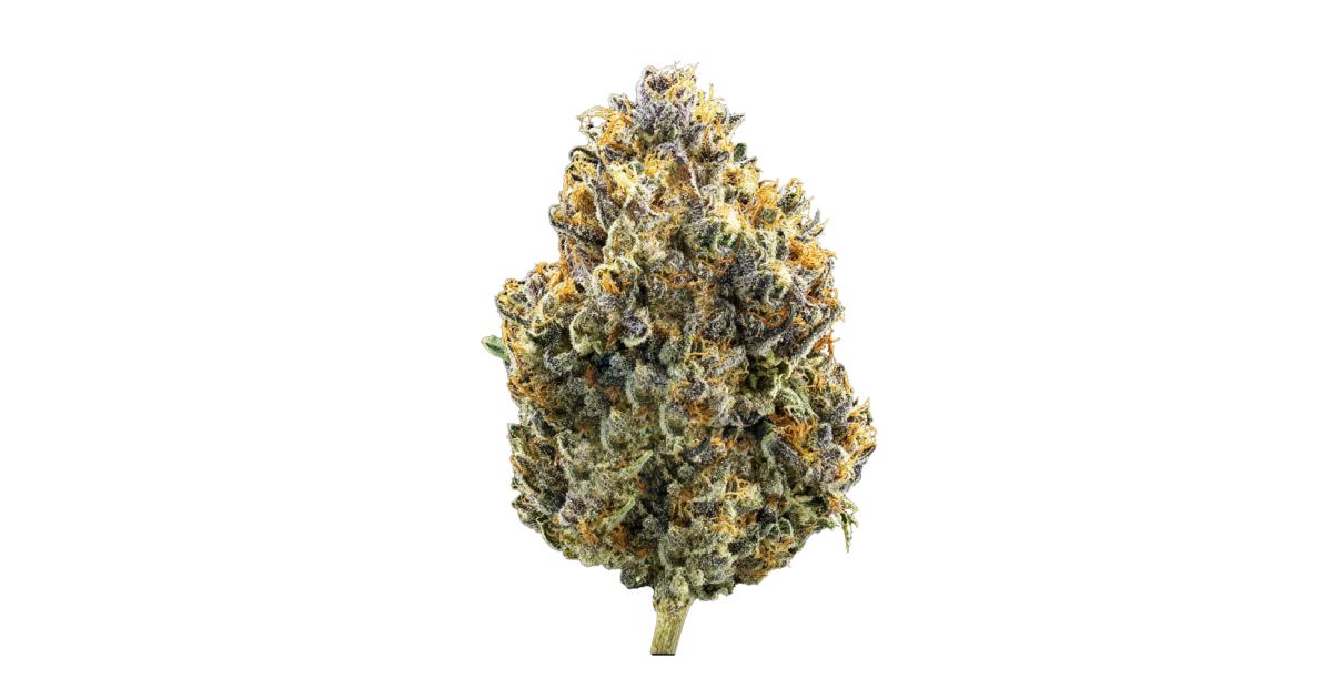 Black Cherry Flambe Cannabis Strain Information - GrowDia...