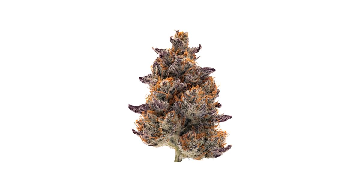 Pink & Yellow Cannabis Strain Information - GrowDiaries