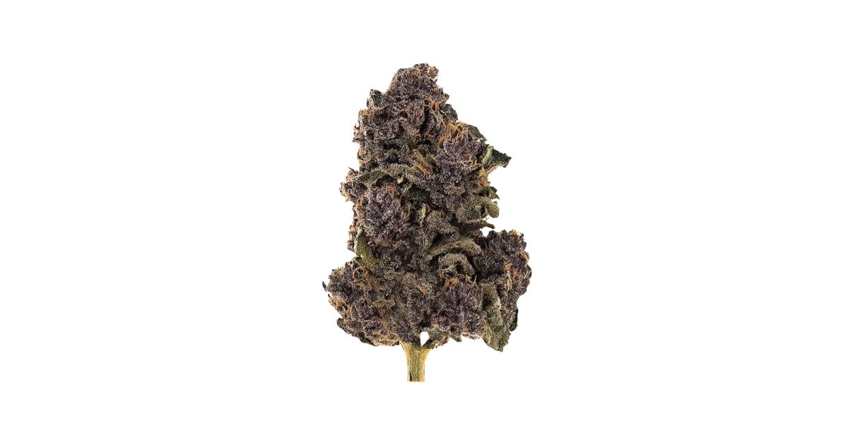Heavy Hustle Cannabis Strain Information - GrowDiaries