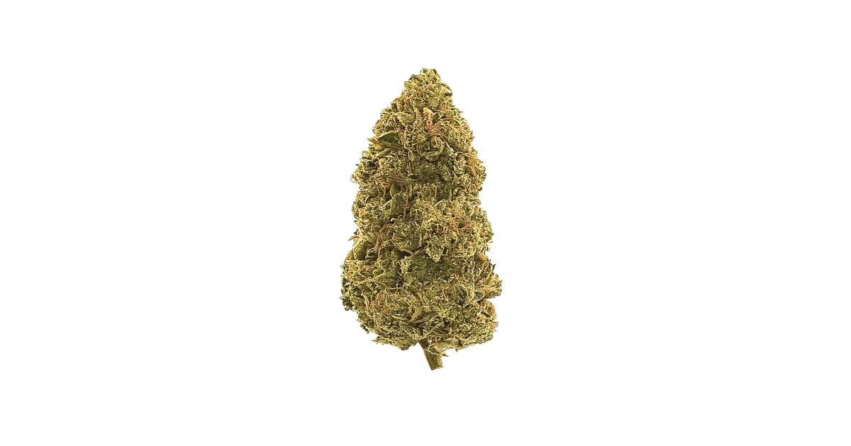 Savage Hulk F2 Cannabis Strain Products - GrowDiaries