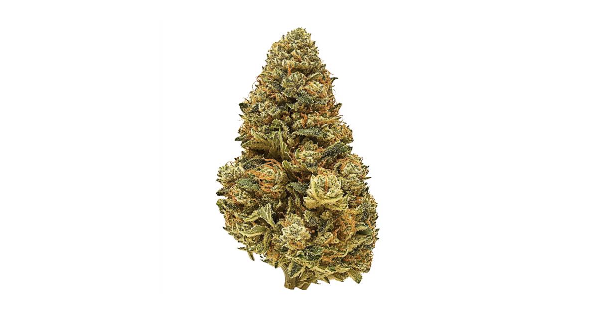 Truffles Cannabis Strain Information - GrowDiaries