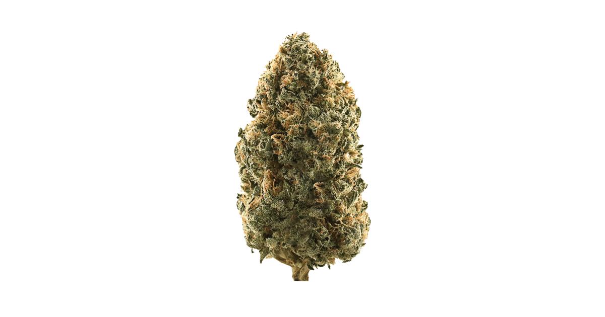 Black Honey Butter Cannabis Strain Information - GrowDiar...