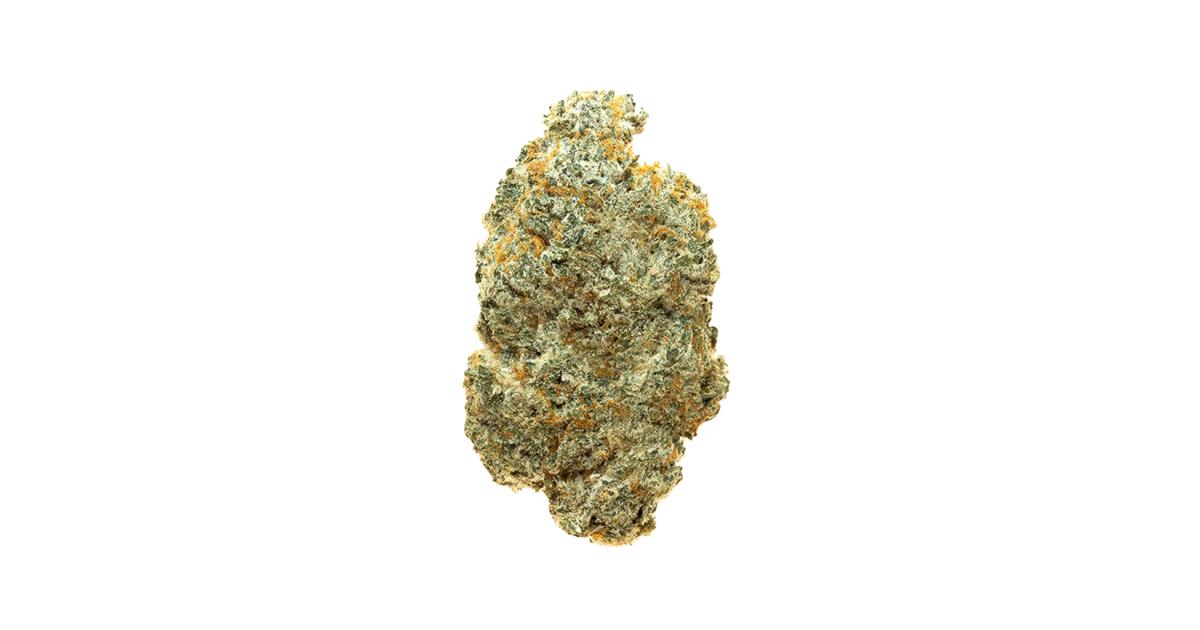 Maple Drip Cannabis Strain Information - GrowDiaries