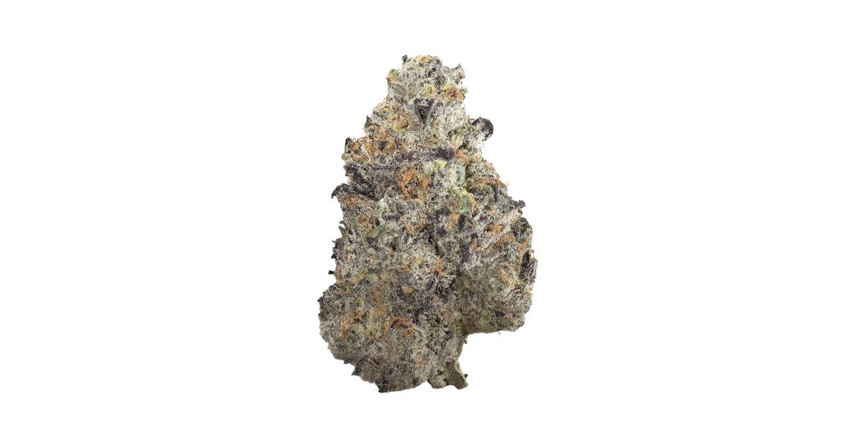 Blackberry Maple Cannabis Strain Information - GrowDiaries