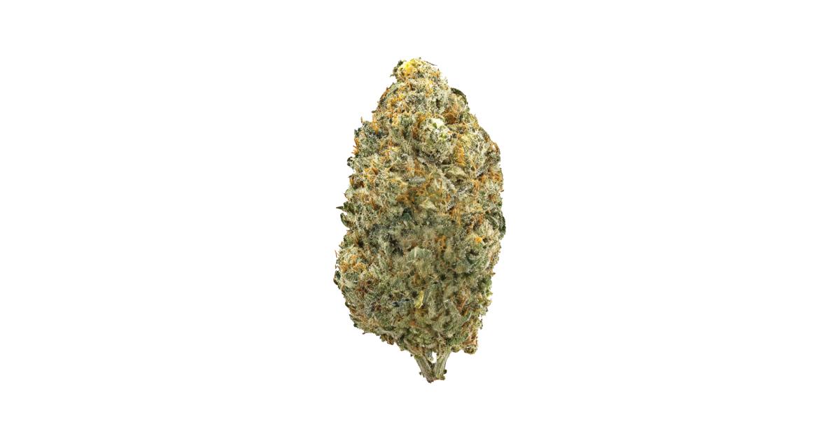 Maple Fumez Cannabis Strain Information - GrowDiaries