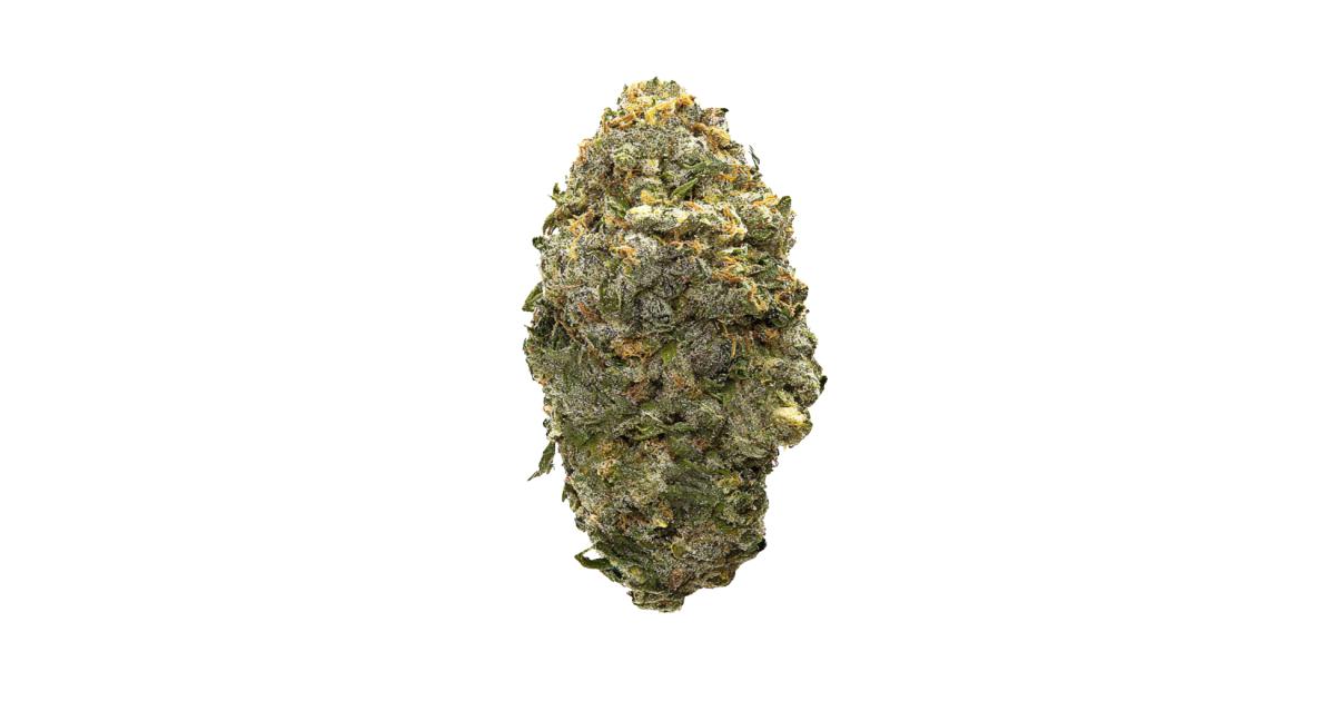 Queen Of Diamonds Cannabis Strain Information - GrowDiaries