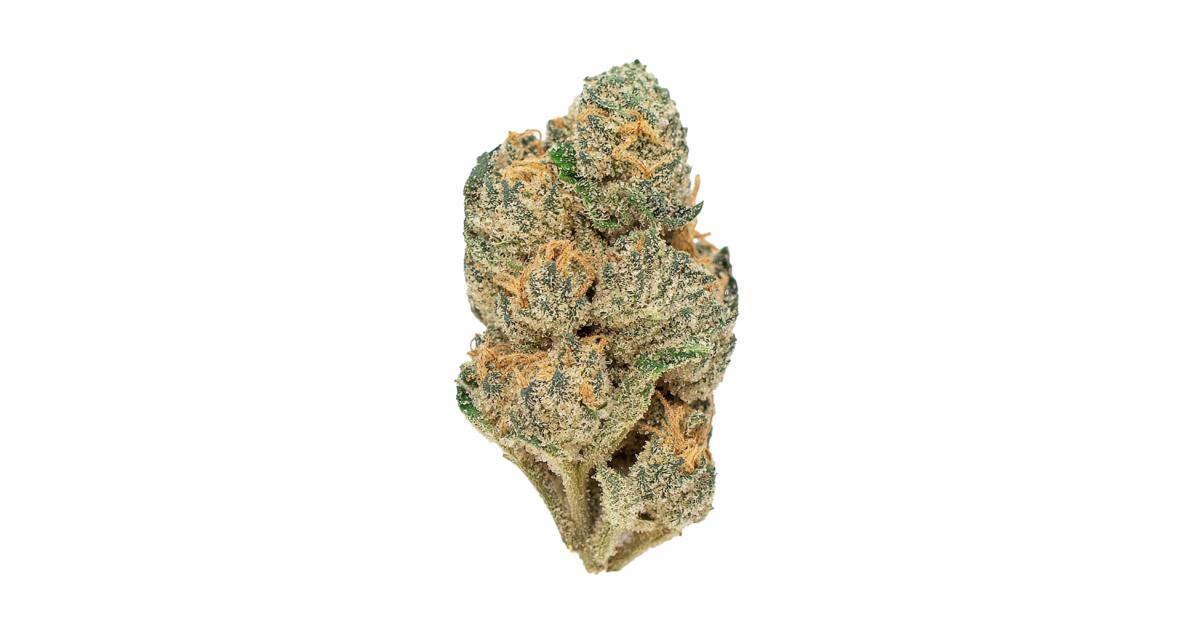 Snow Cone Cannabis Strain Information - GrowDiaries