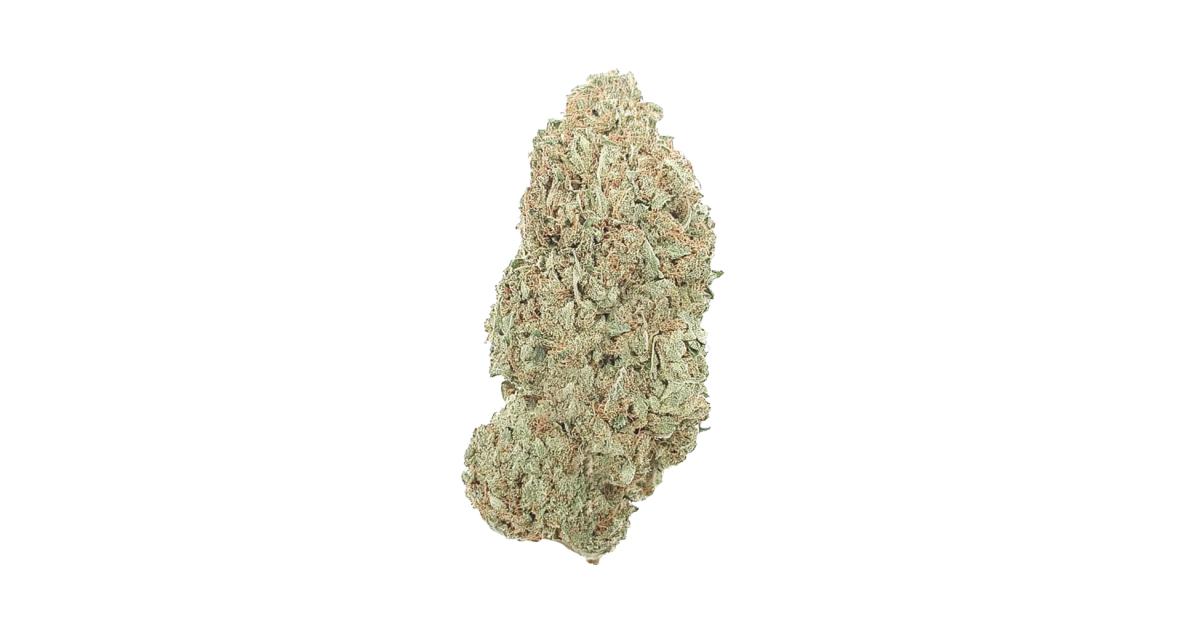 West Coast Sour Cannabis Strain Information - GrowDiaries