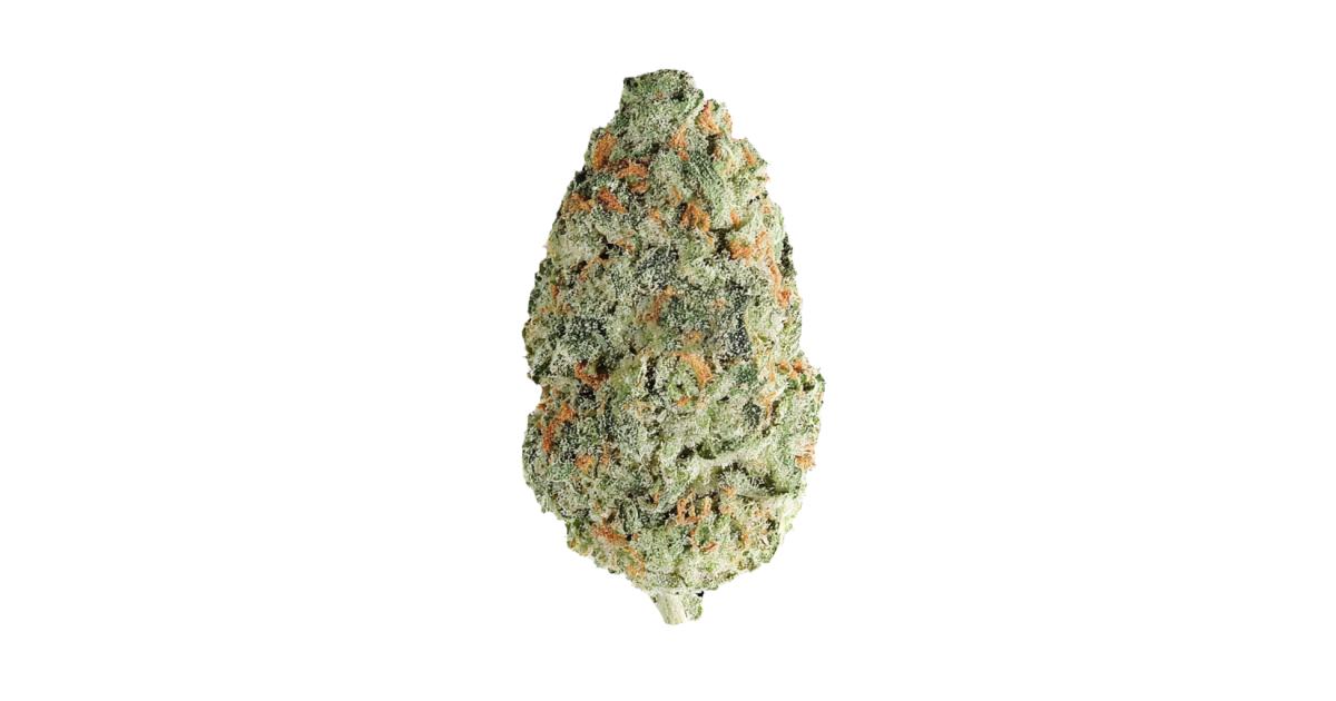 Guava Geisha Cannabis Strain Information - GrowDiaries