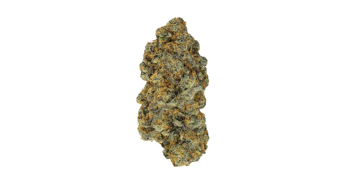 Lemon Ume Cannabis Strain by Bloom Seed Co Information