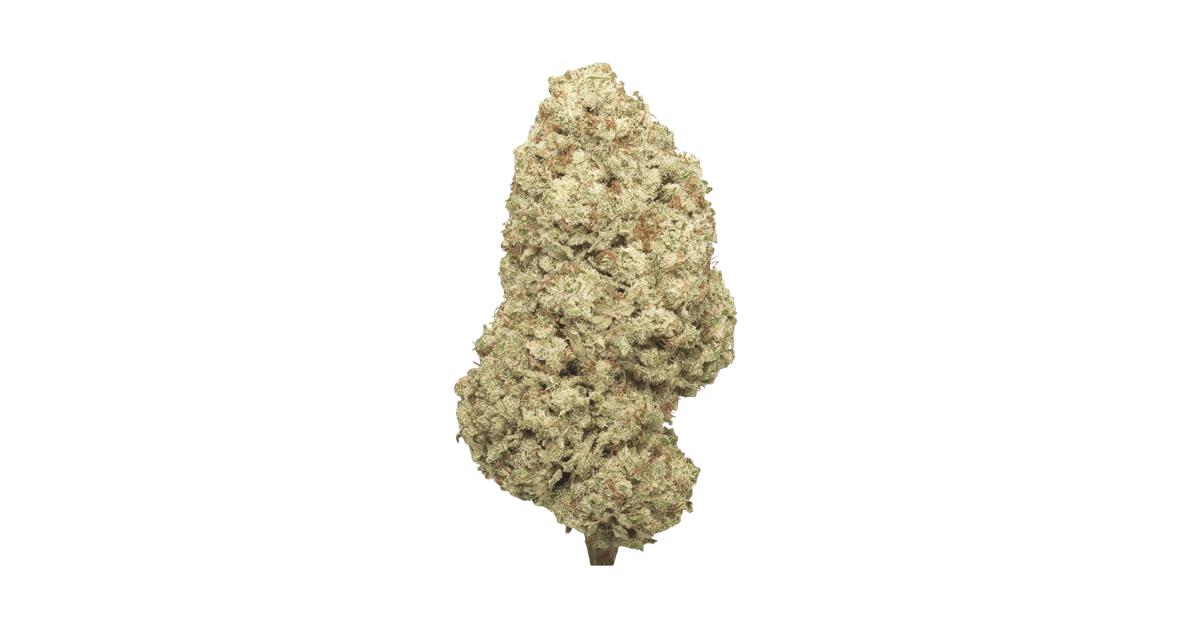 White Guava Gelato Cannabis Strain Information - GrowDiar...