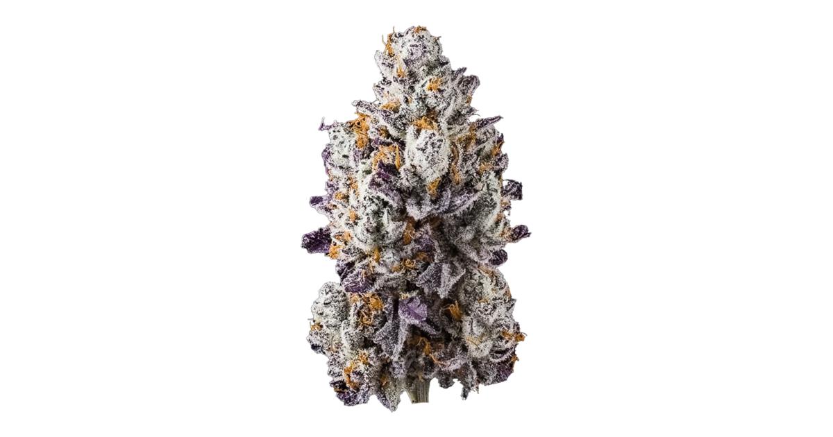 New Money Cannabis Strain Information - GrowDiaries