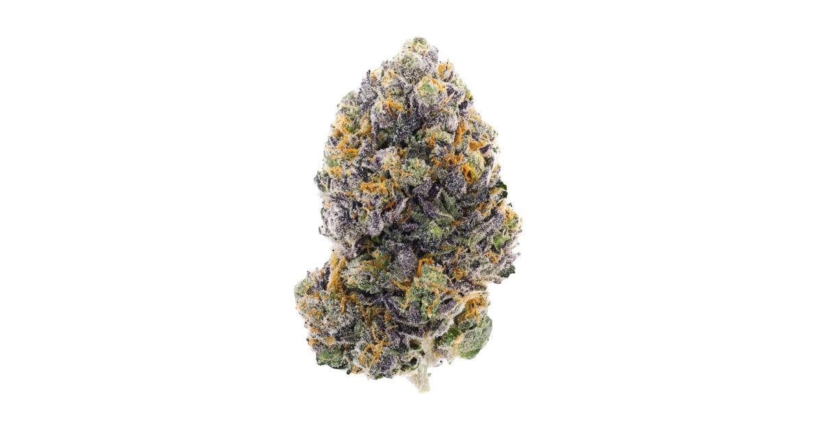 Sunset Sherb x Hollywood Cannabis Strain Information - Gr...