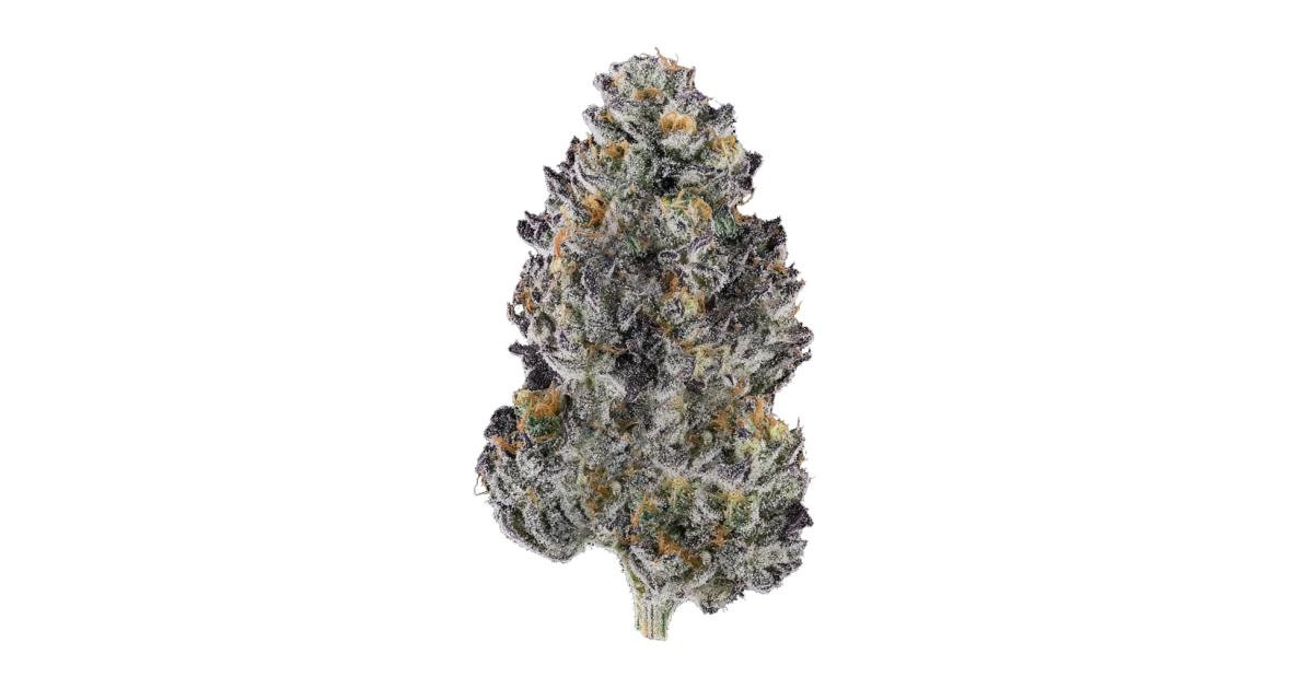 Mango x Hollywood Cannabis Strain Information - GrowDiaries