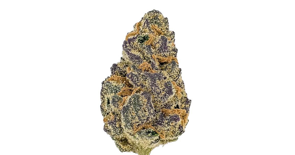 Cherry On Top Cannabis Strain Information - GrowDiaries