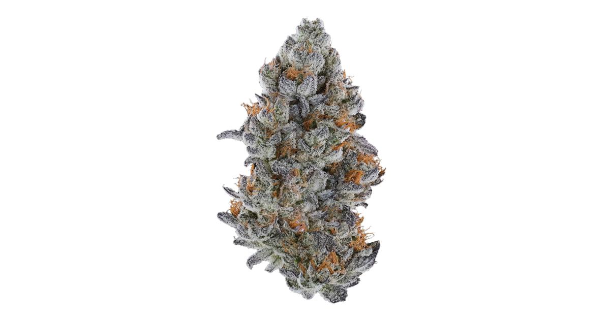 Lemon Cherry Gelato bx2 Cannabis Strain Information - Gro...