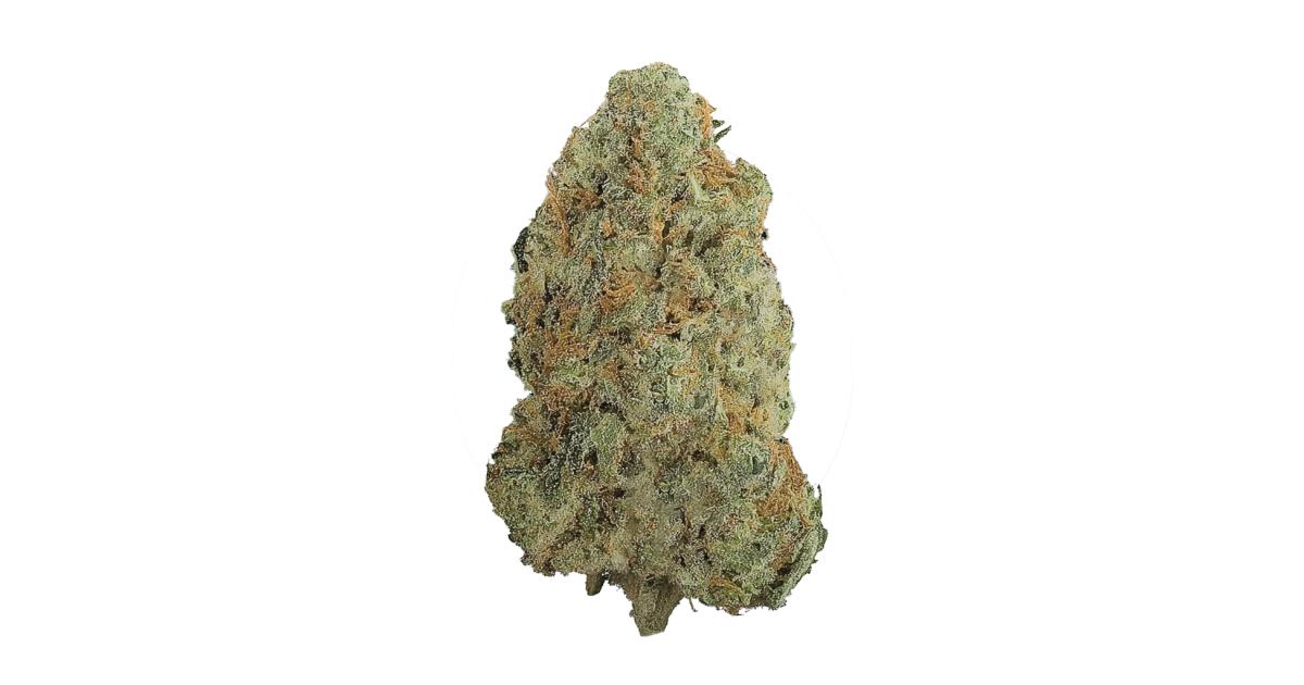 Burnt Sugar Cannabis Strain Information - GrowDiaries