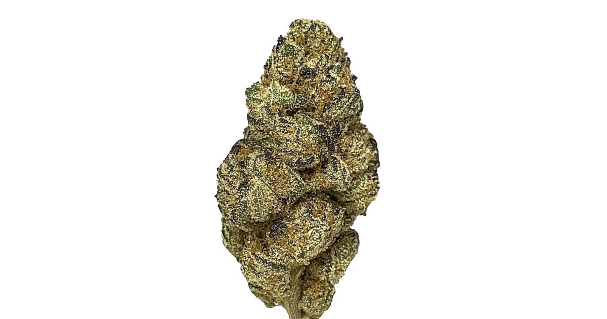 Amaretto Sour Cannabis Strain Information - GrowDiaries
