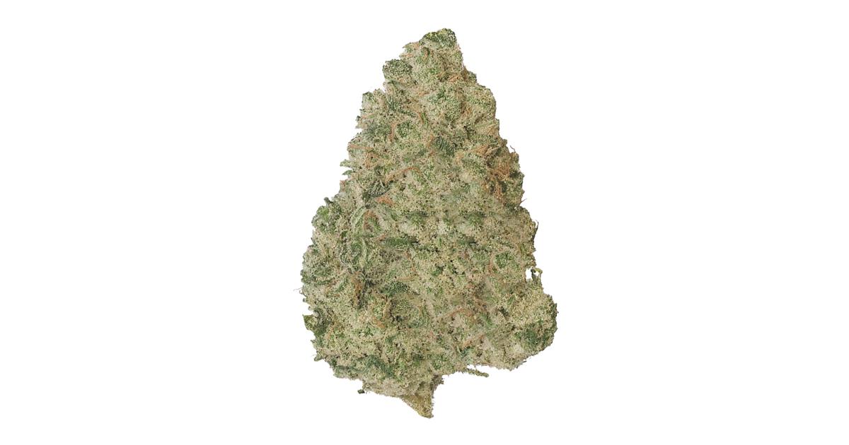 Boston Massacre Cannabis Strain Information - GrowDiaries