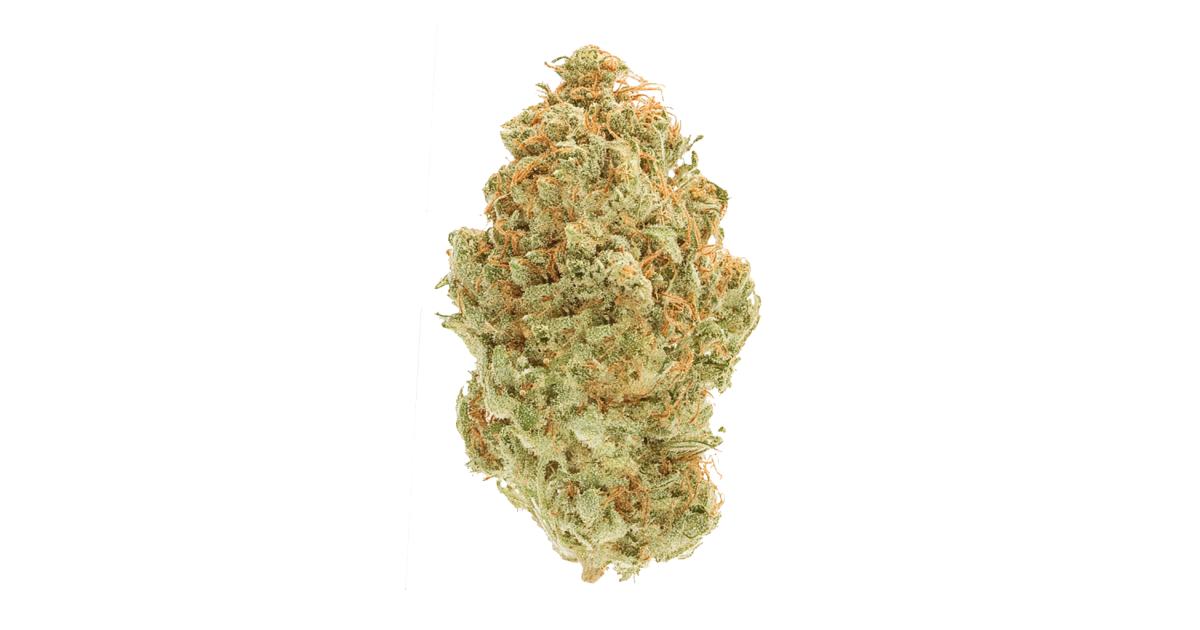Candy Apple Haze Cannabis Strain Information - GrowDiaries