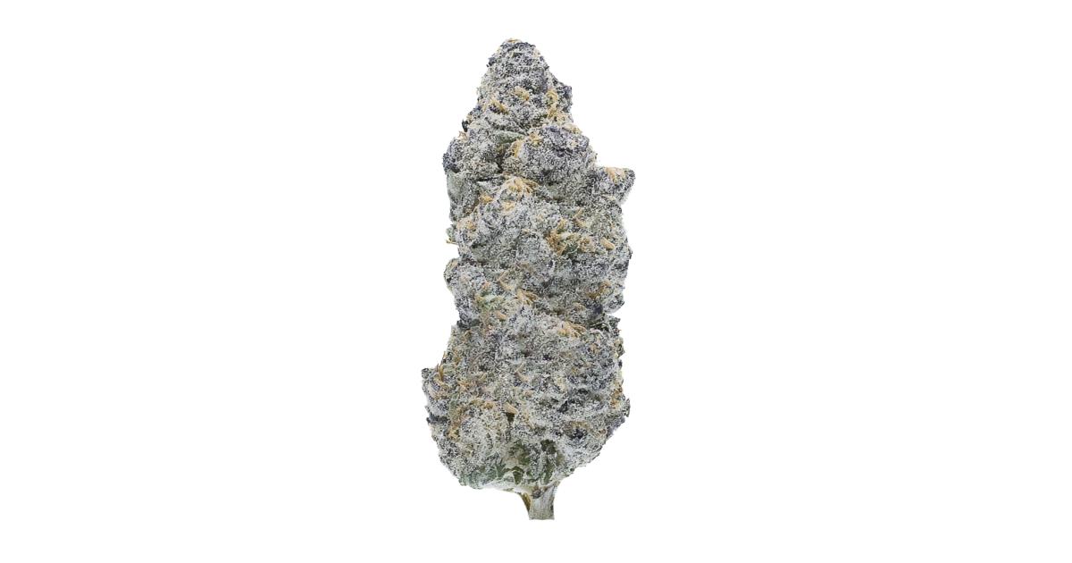 Planet Purple V2 Cannabis Strain Information - GrowDiaries