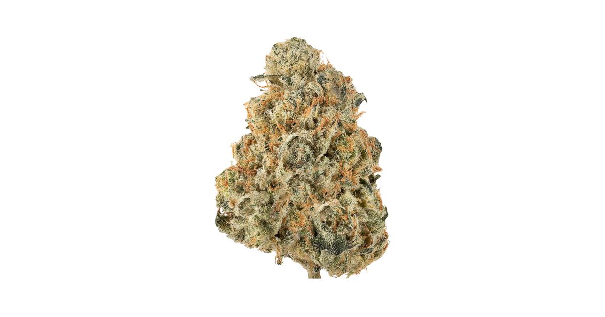 Light Speed Cannabis Strain Information - GrowDiaries