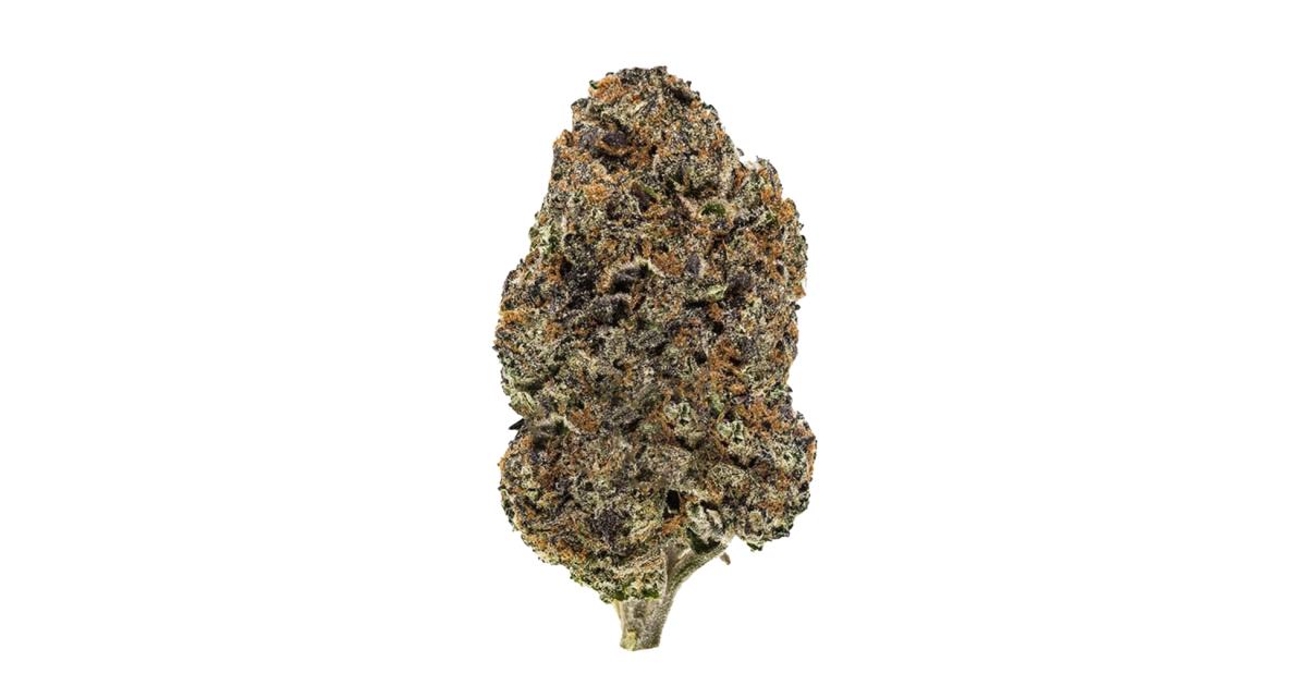 Berry Gas Mask CBD Cannabis Strain Information - GrowDiar...