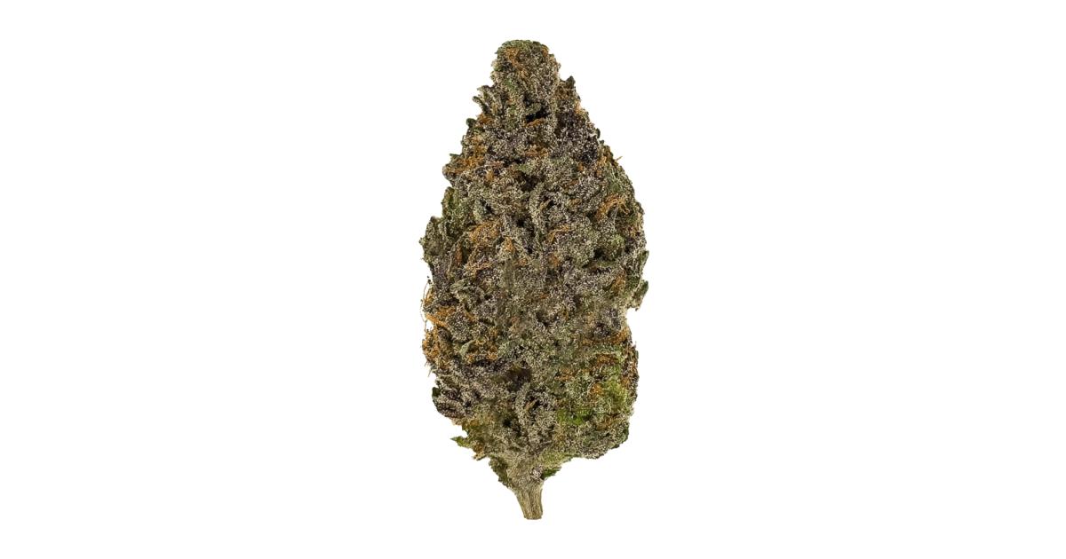 Sour Cherry Diesel Cannabis Strain Information - GrowDiar...